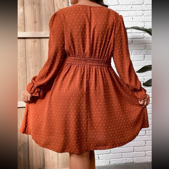 Dresses | Plus Size Rust Brown Swiss Dot Dress | Poshmark
